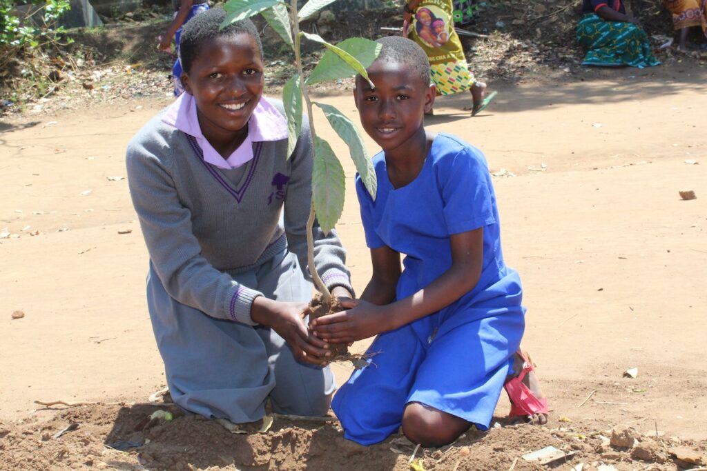 Ecosystem restoration is key to green recovery since it can recover ...