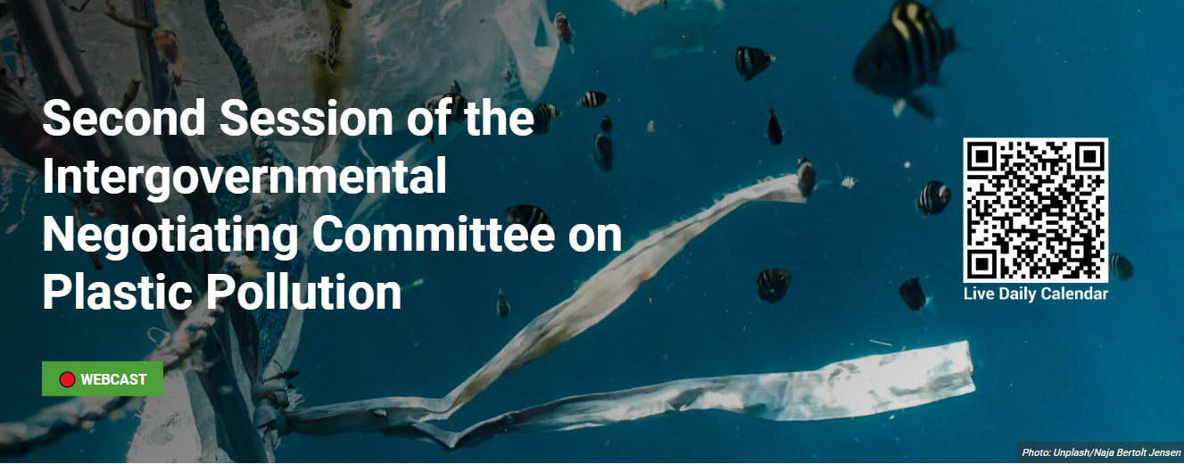 Second Session of the Intergovernmental Negotiating Committee on Plastic Pollution - Global ...